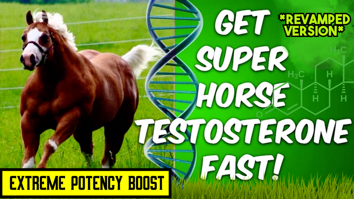 Get Super horse Testosterone Fast (Revamped Version) – Frequency Wizard Get Super horse Testosterone Fast (Revamped Version) – Frequency Wizard